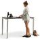 Aspa Executive Height Adjustable Desk | FRISKA DESK